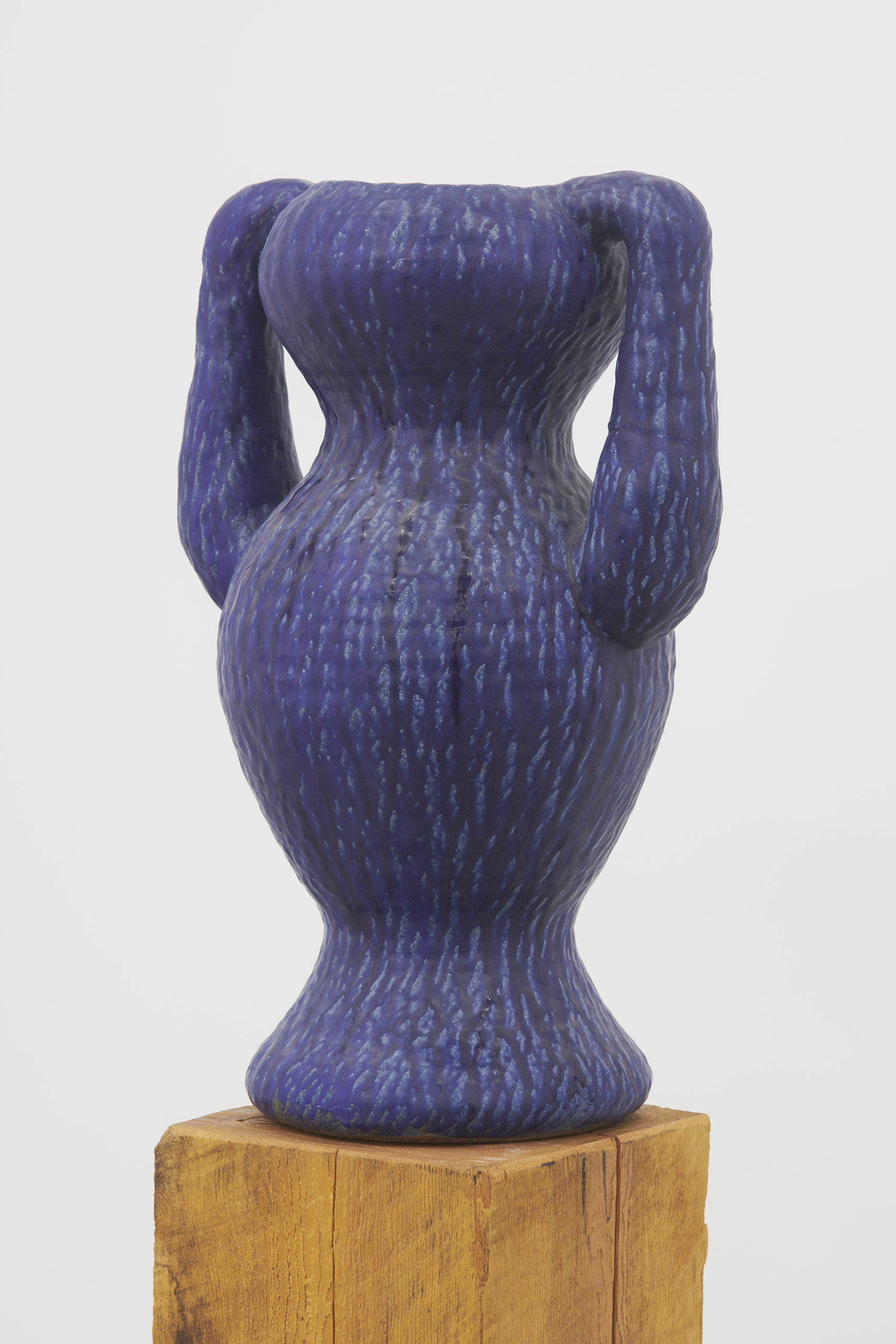 Peter Schlesinger | Selected Works